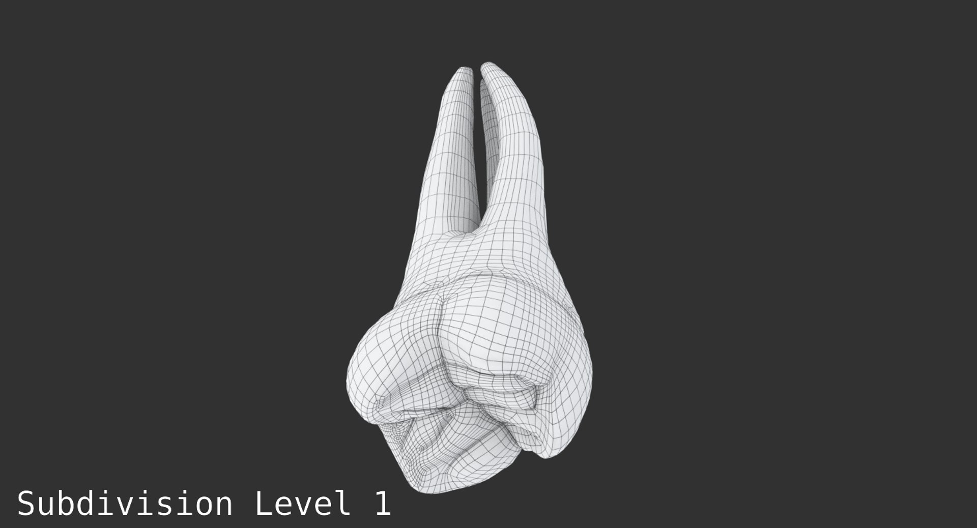 Upper molar 3D model - TurboSquid 1253605