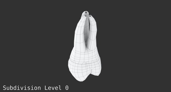 modelo 3d Tercer Molar superior izquierdo - TurboSquid 1253605