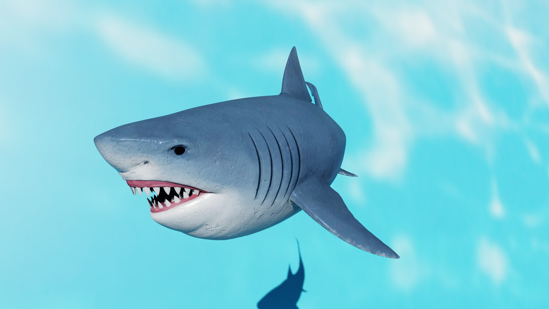 Shark Pack Three Species Rigged And Animated Game Ready 3D - TurboSquid ...