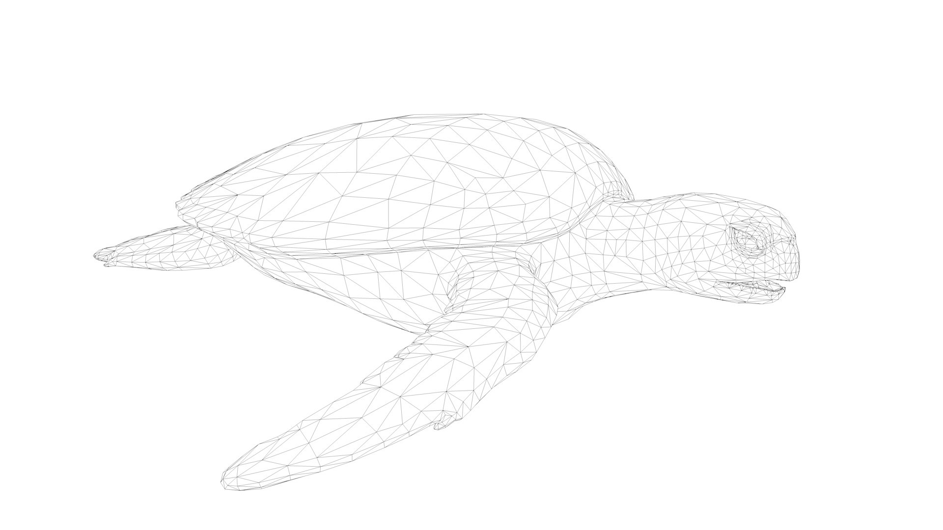 3D Turtle Rigged And Animated - TurboSquid 2335748