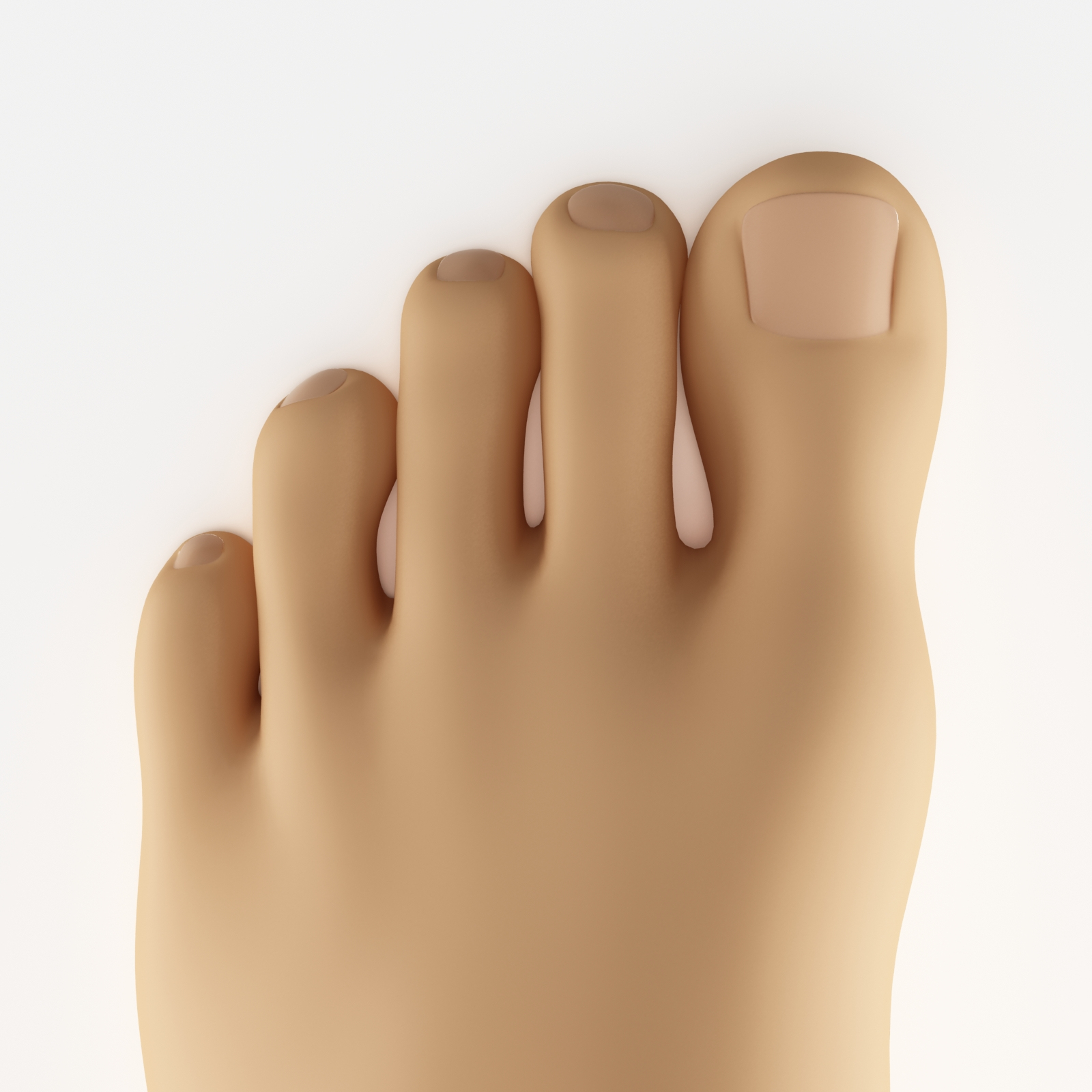 female foot max