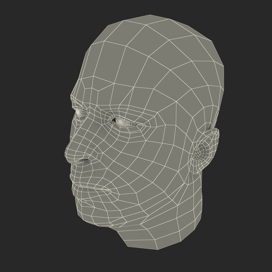 3d Male Head 20 Hair Model