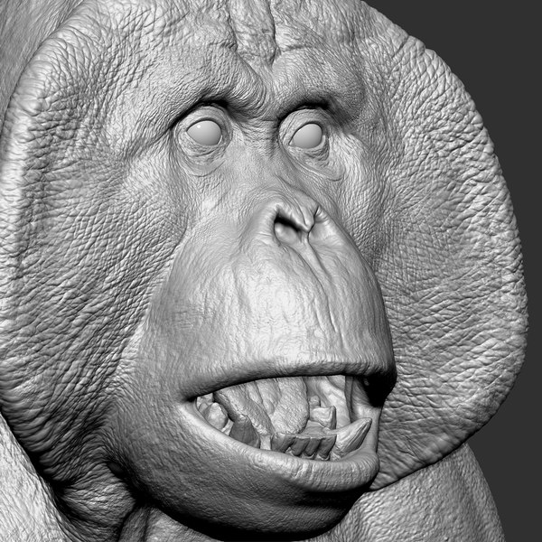 3D Vfx Models | TurboSquid