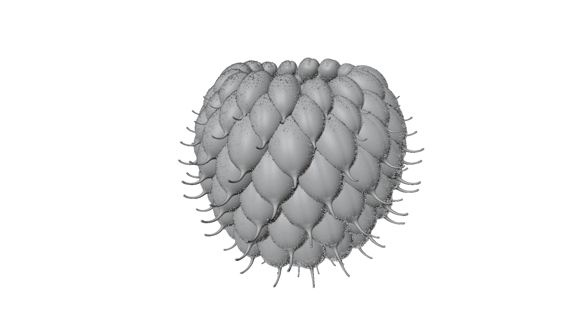 3D Raspberry Model - TurboSquid 1522120