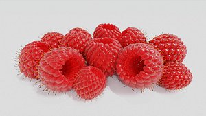 3D Raspberry Models - Browse & Download Formats - TurboSquid