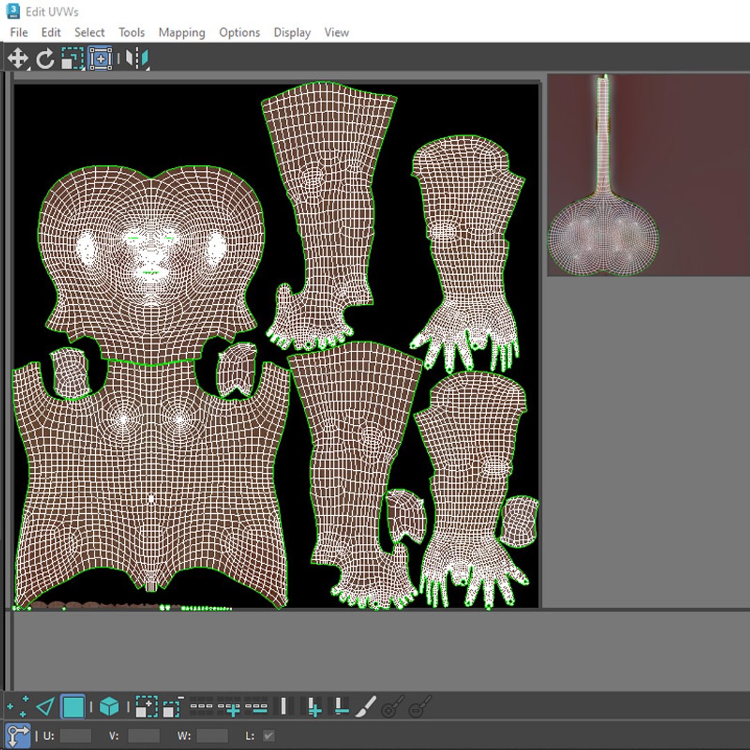 Fetus Development 3D Model - TurboSquid 2351285
