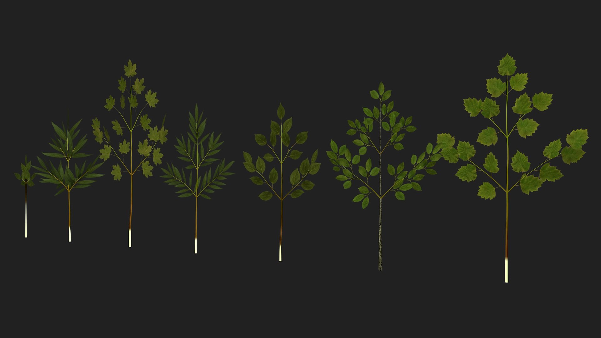 Branches twig kit 3D model - TurboSquid 2178359