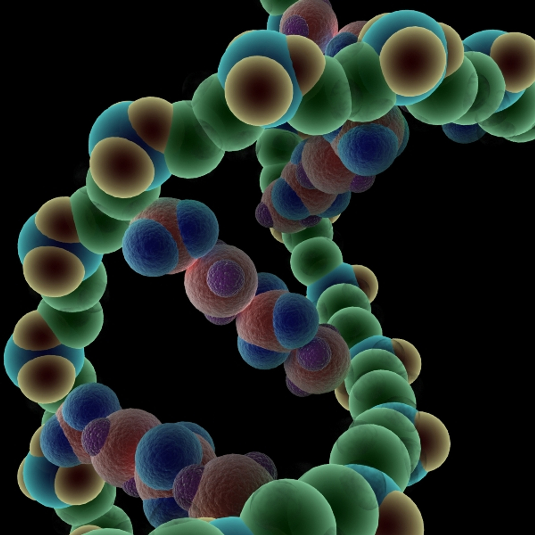 3d model dna molecule