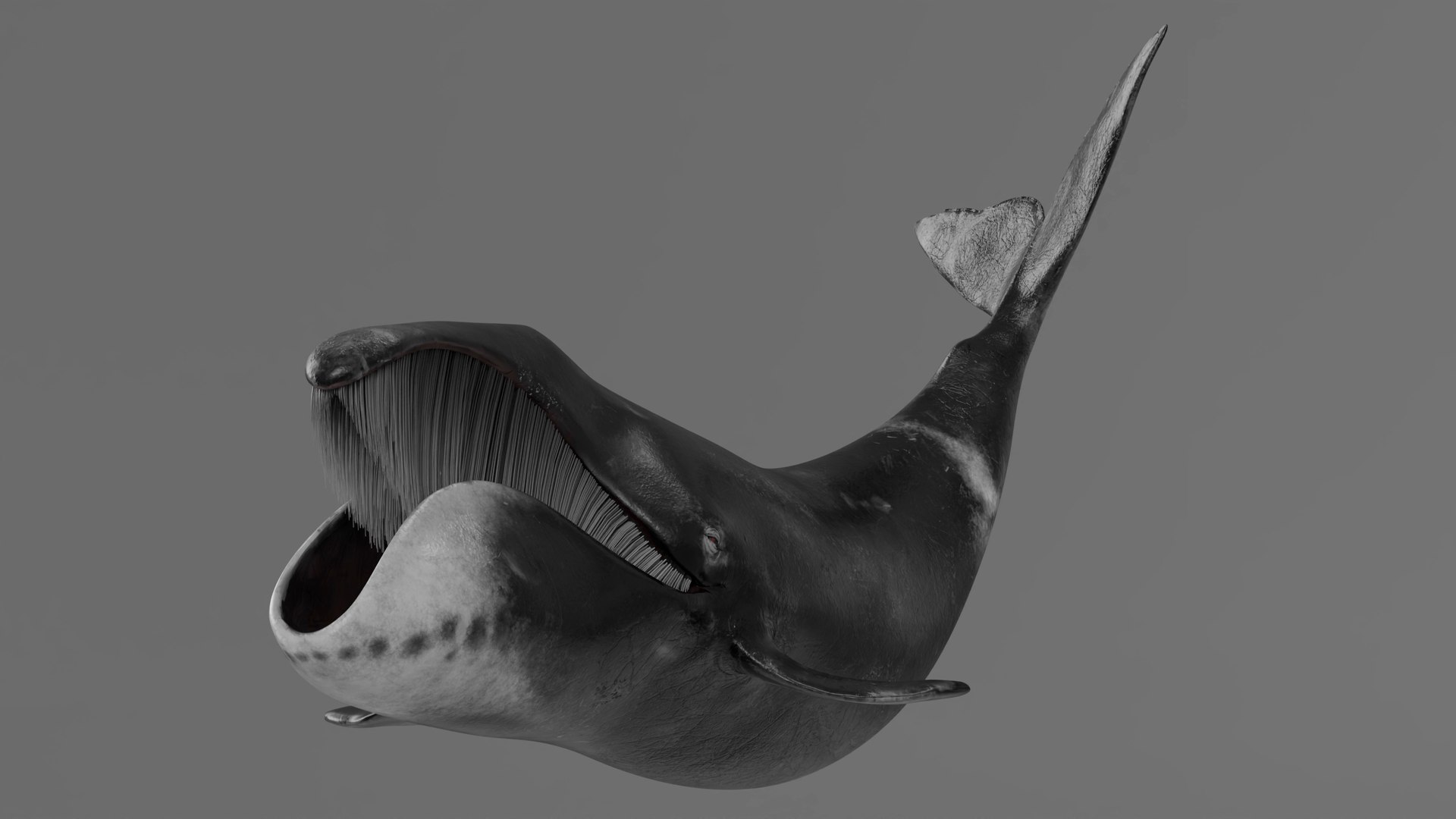 Swimming Bowhead Whale Model - TurboSquid 2116282