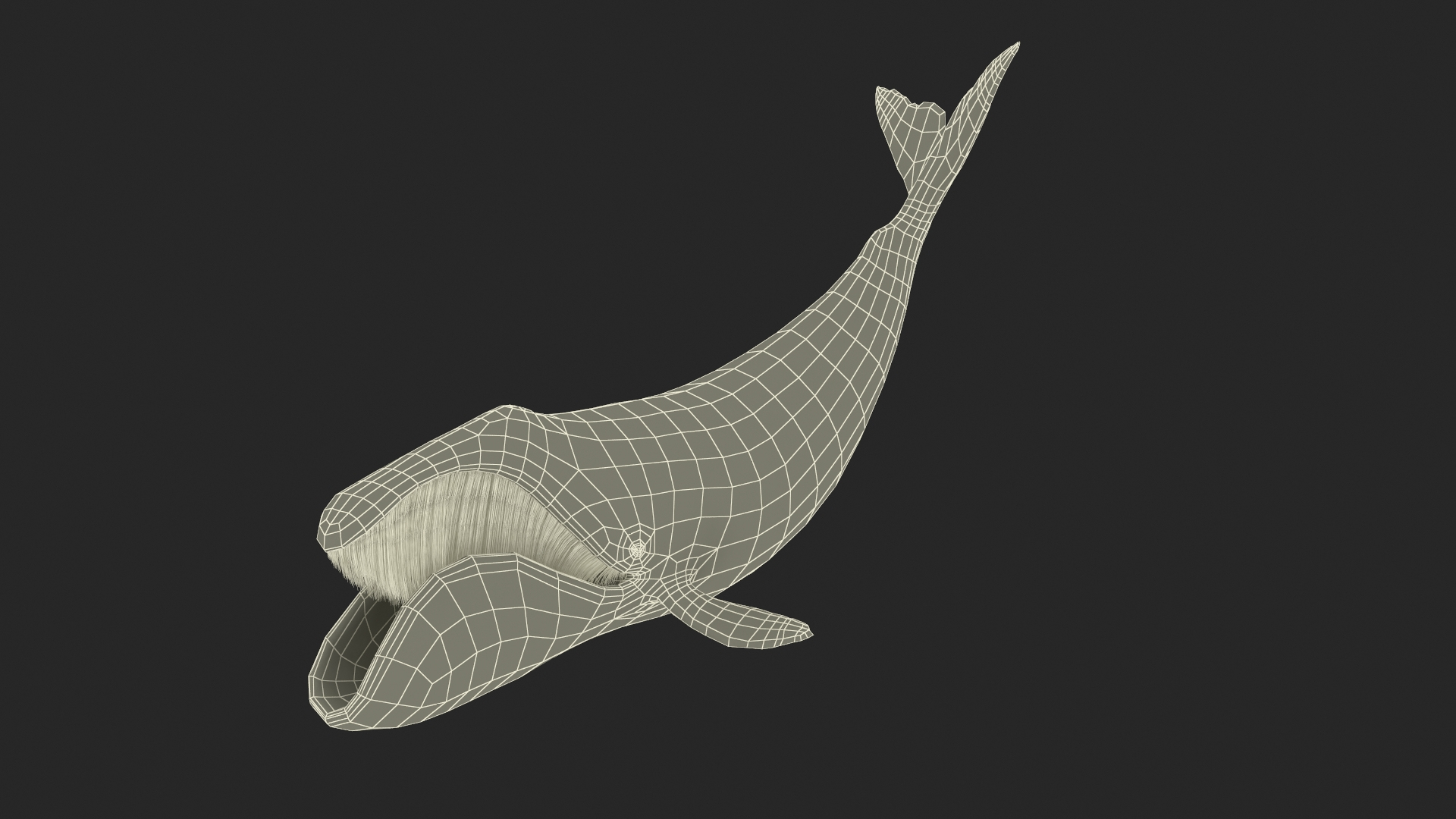 Swimming Bowhead Whale Model - TurboSquid 2116282