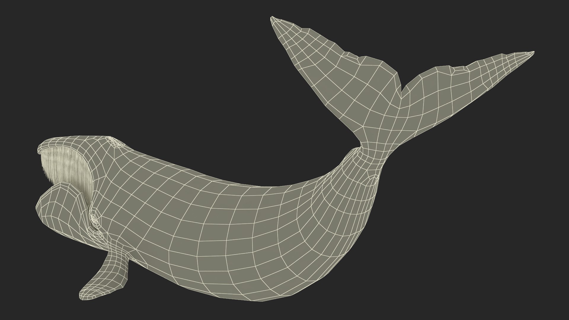 Swimming Bowhead Whale Model - TurboSquid 2116282