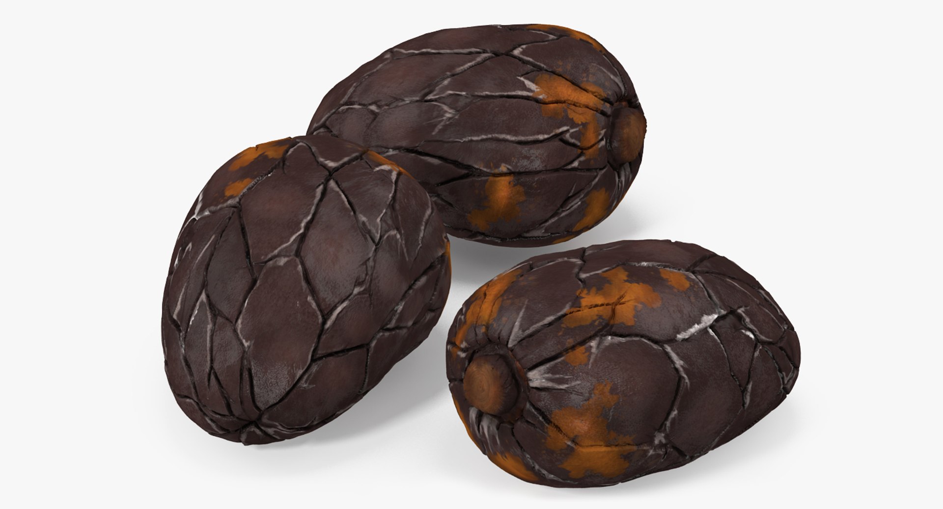 3D Cacao Bean Model - TurboSquid 1294294