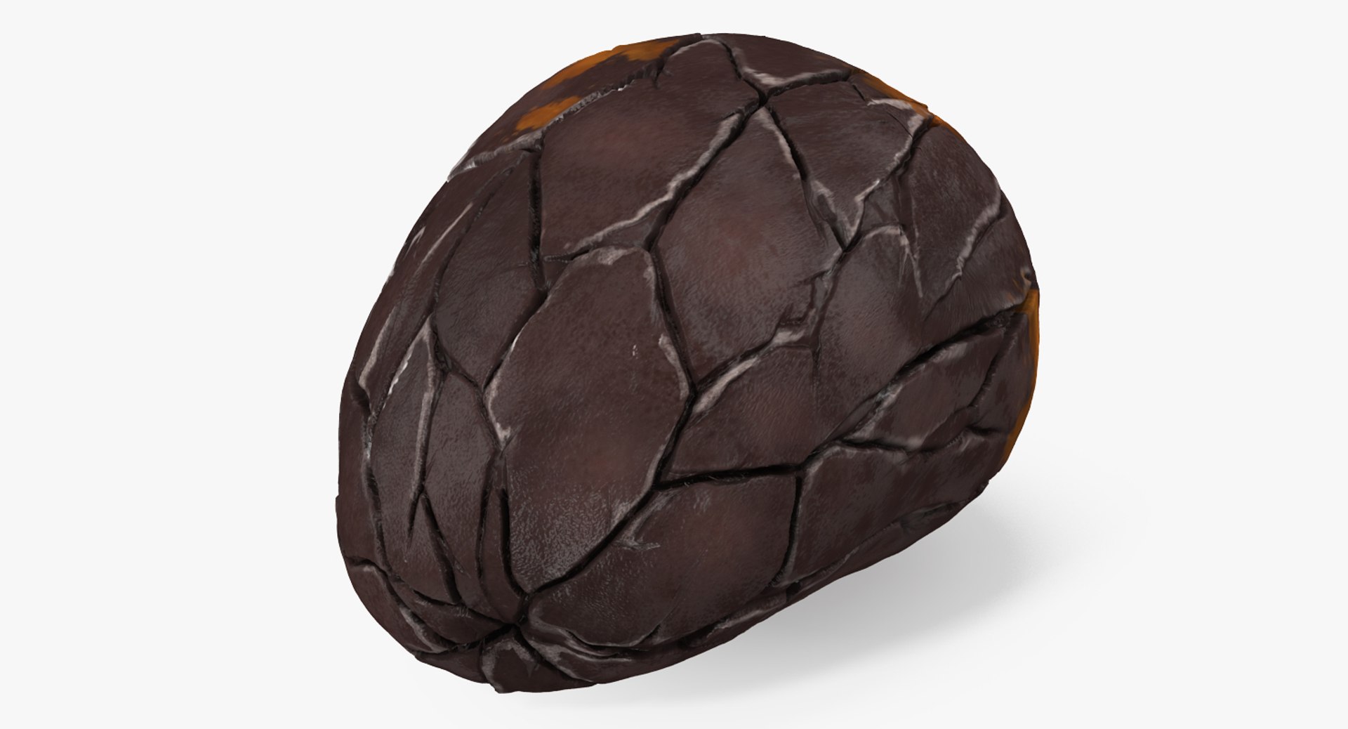 3D Cacao Bean Model - TurboSquid 1294294