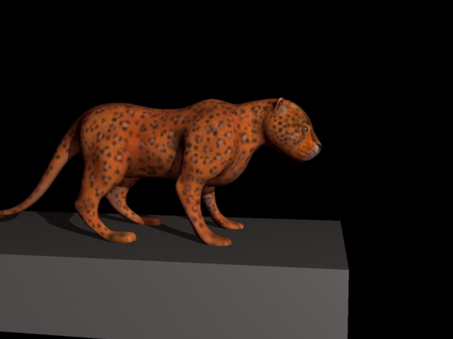 Leopard Cat 3d Model