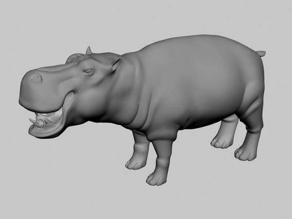 3d hippo model