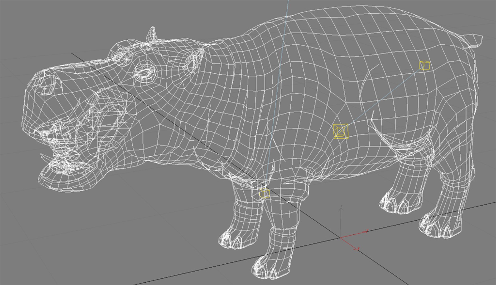 3d Hippo Model
