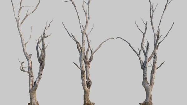 Free 3ds Max Tree Models | TurboSquid