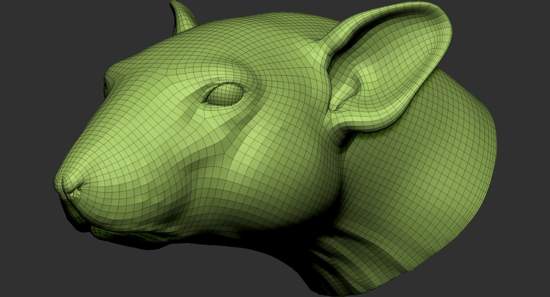 Rat Head 2019 3D Model - TurboSquid 1428004