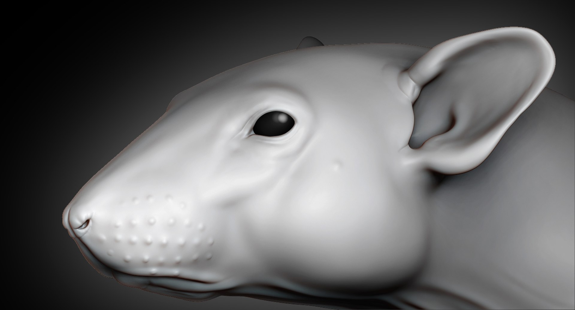 Rat Head 2019 3D Model - TurboSquid 1428004