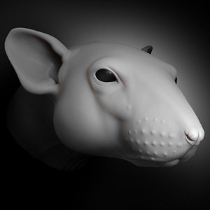 3D Rat Head Base Mesh Model - TurboSquid 1427955