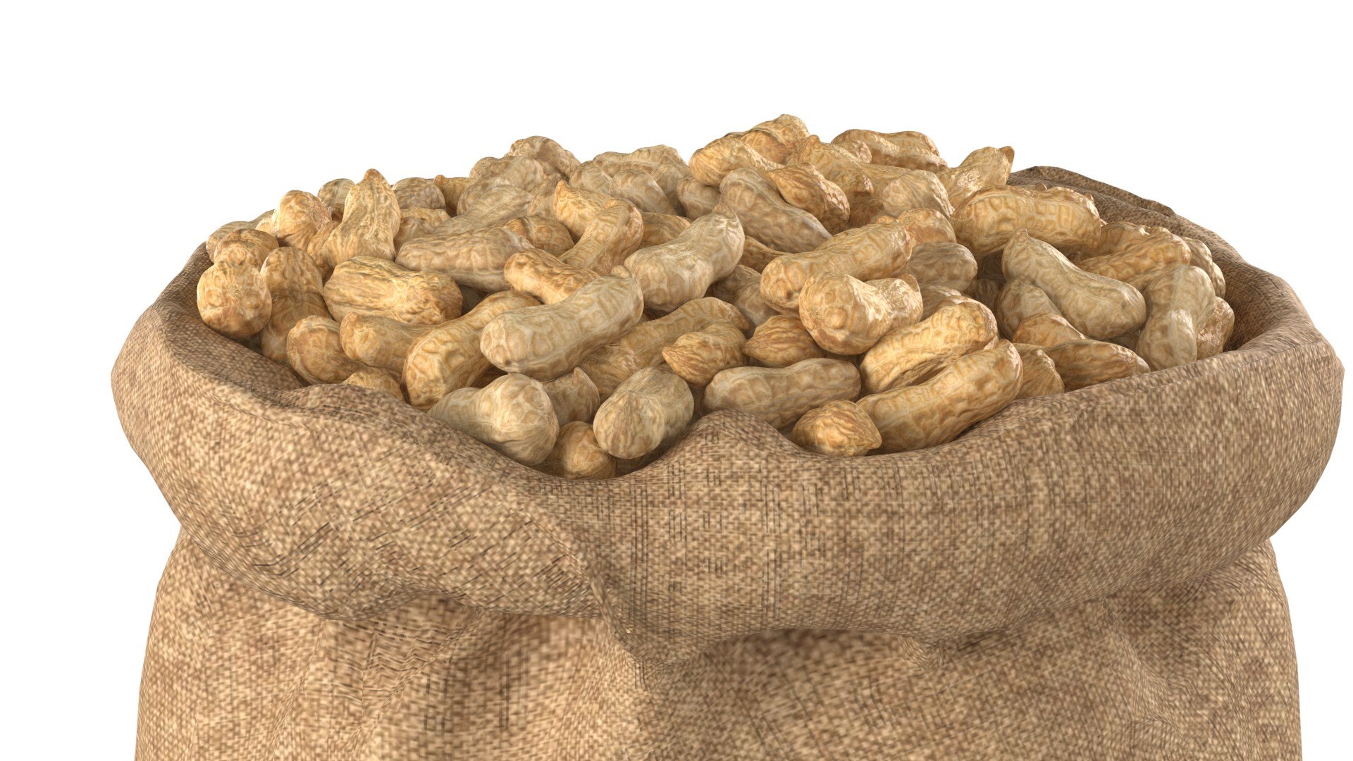 Peanut Bag Sack Model - TurboSquid 2397402