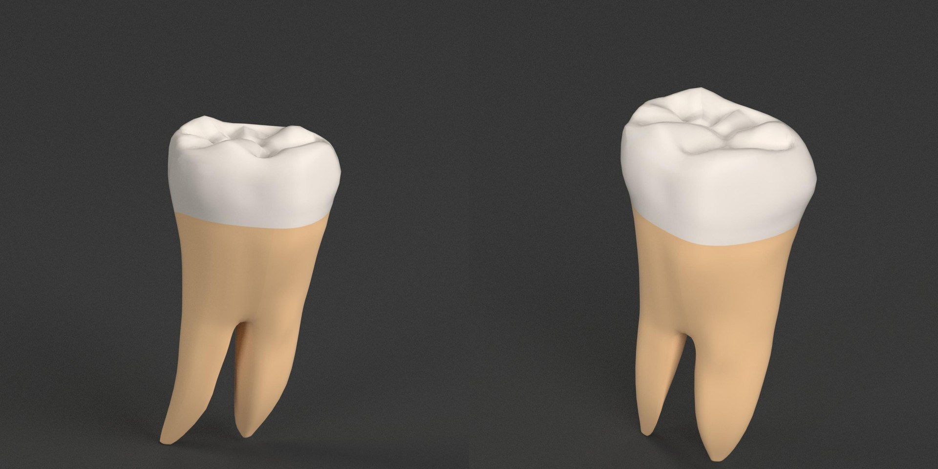 Stylized Human Molar 3D - TurboSquid 1367336