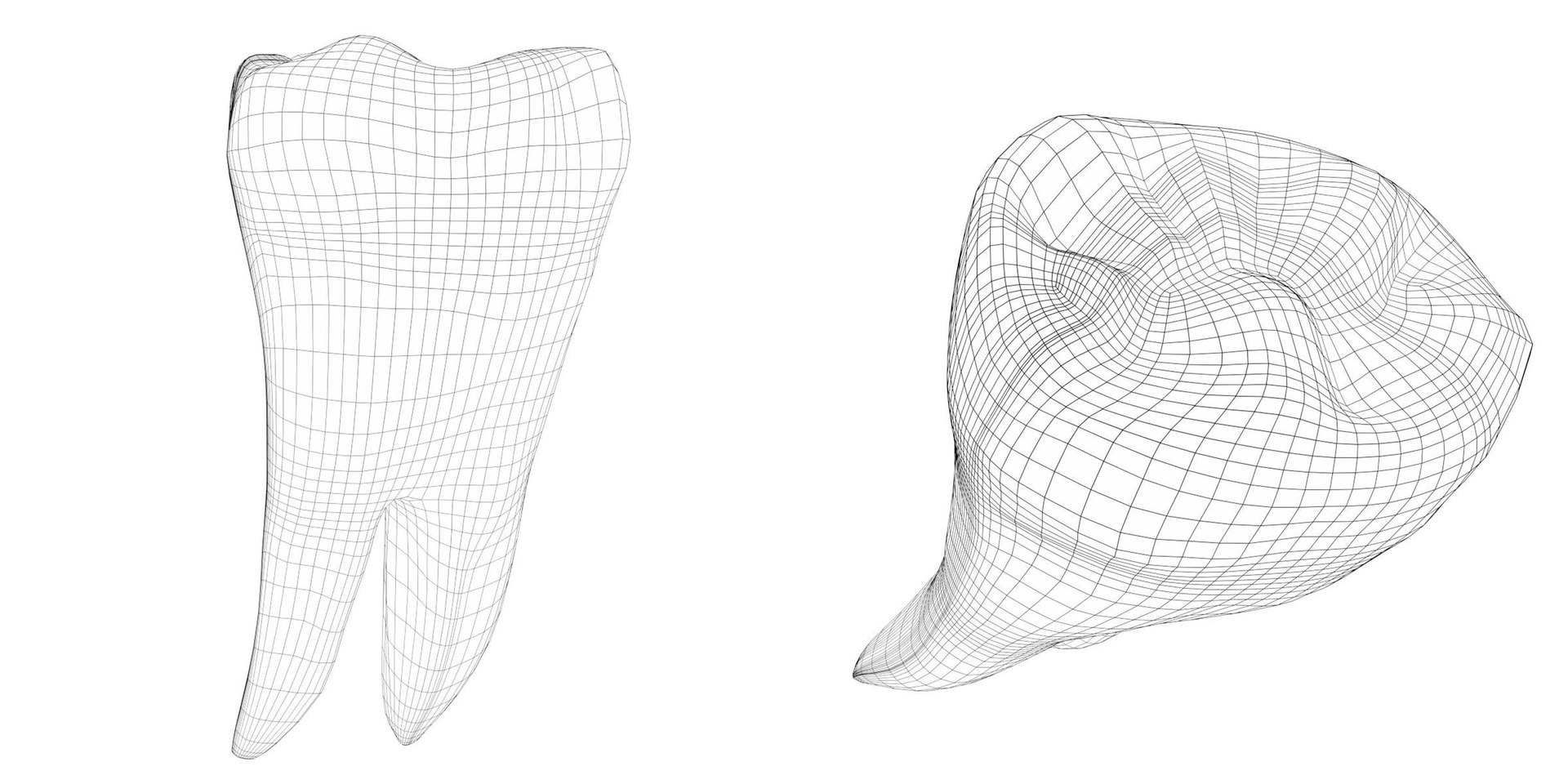 Stylized Human Molar 3D - TurboSquid 1367336