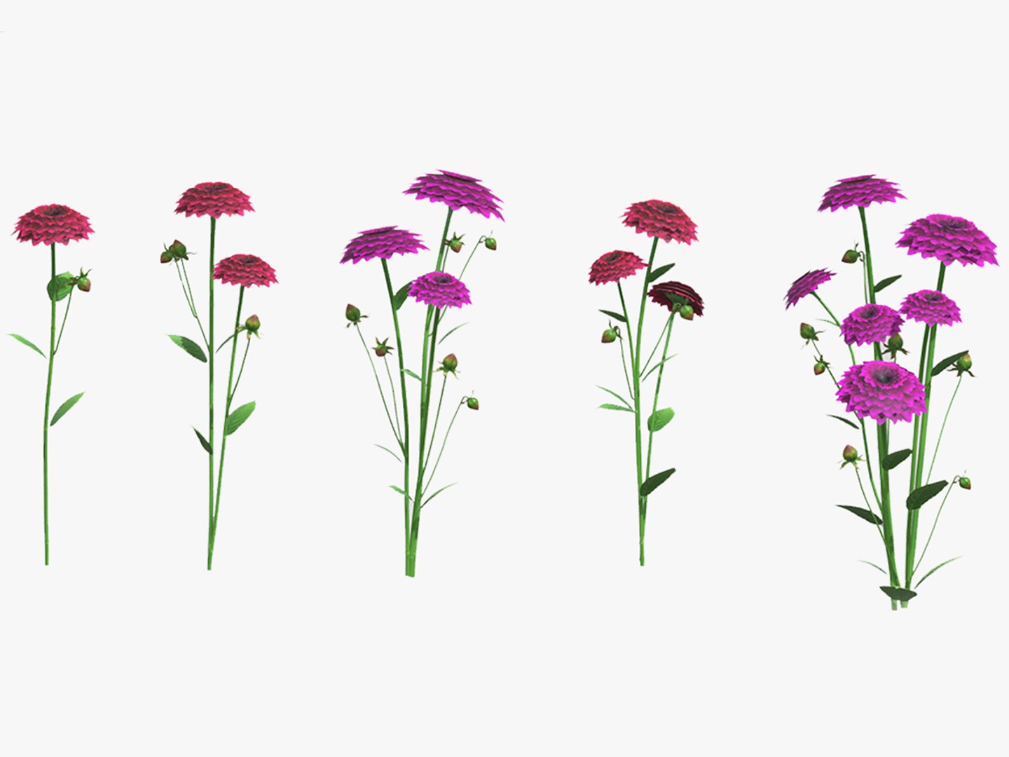 阿拉伯之夜花低聚3D模型 - TurboSquid 2317515