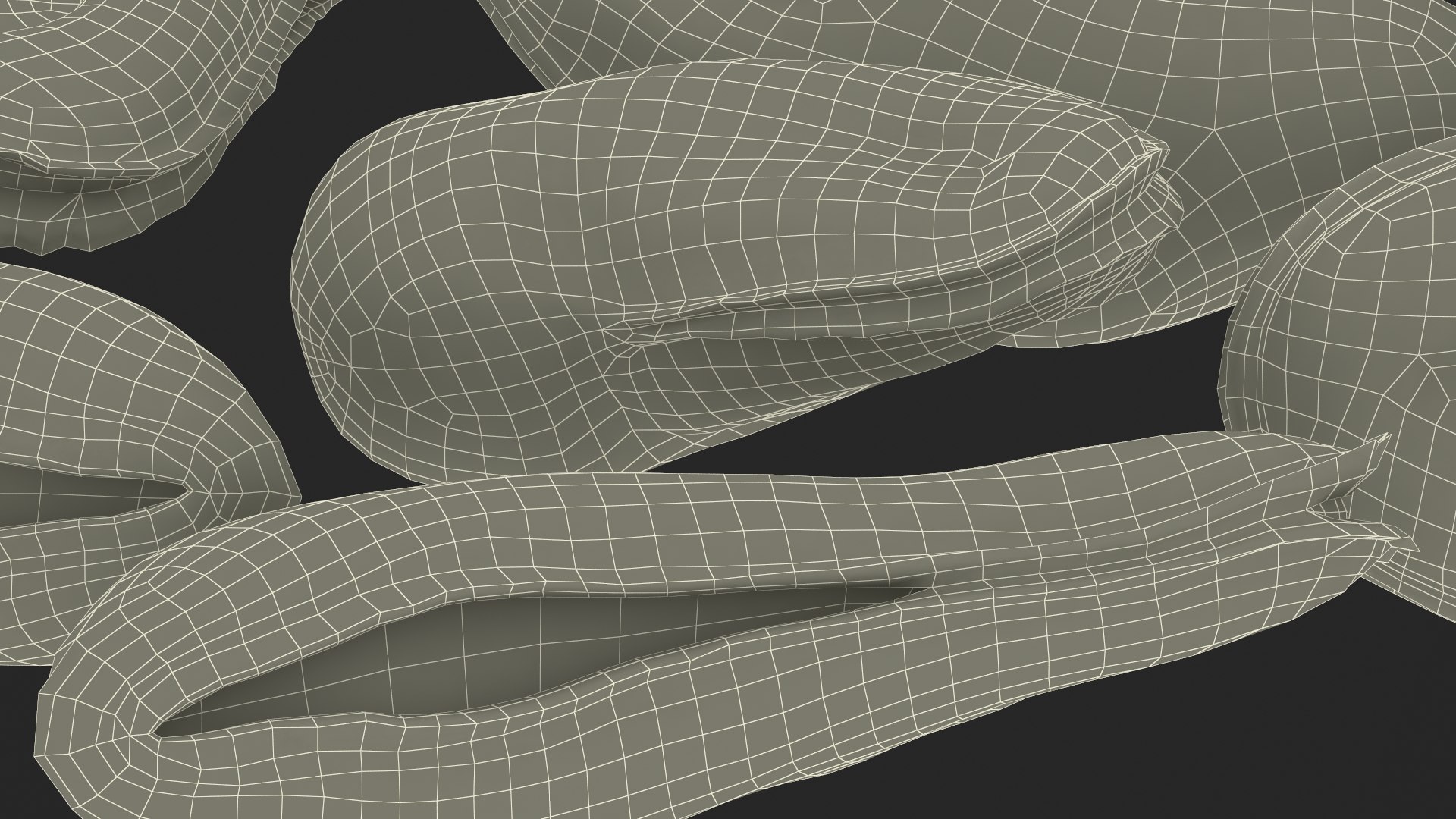 Bunch Of Peeled Mussels 3D Model - TurboSquid 2277660