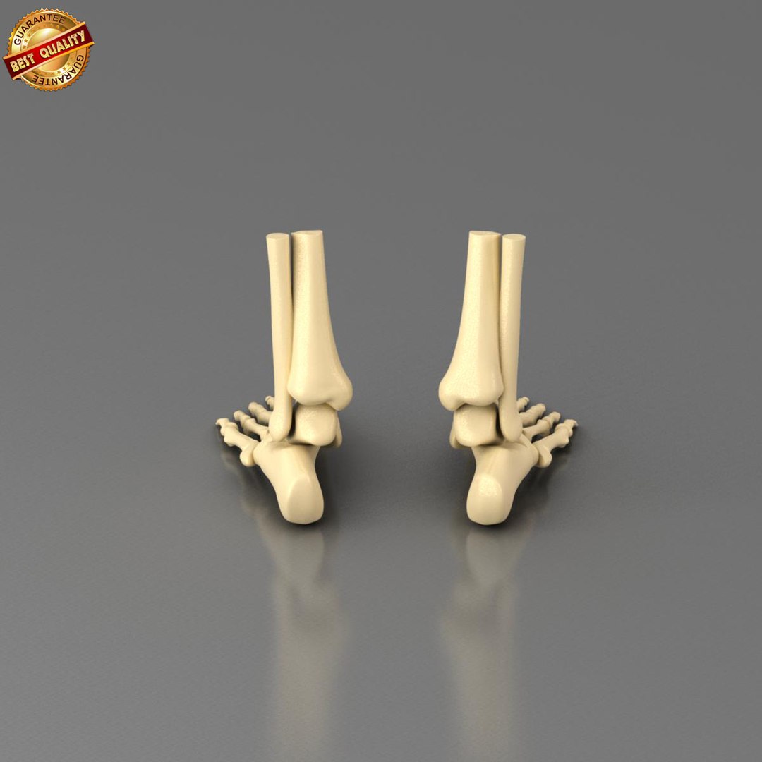 Anatomy Science Obj