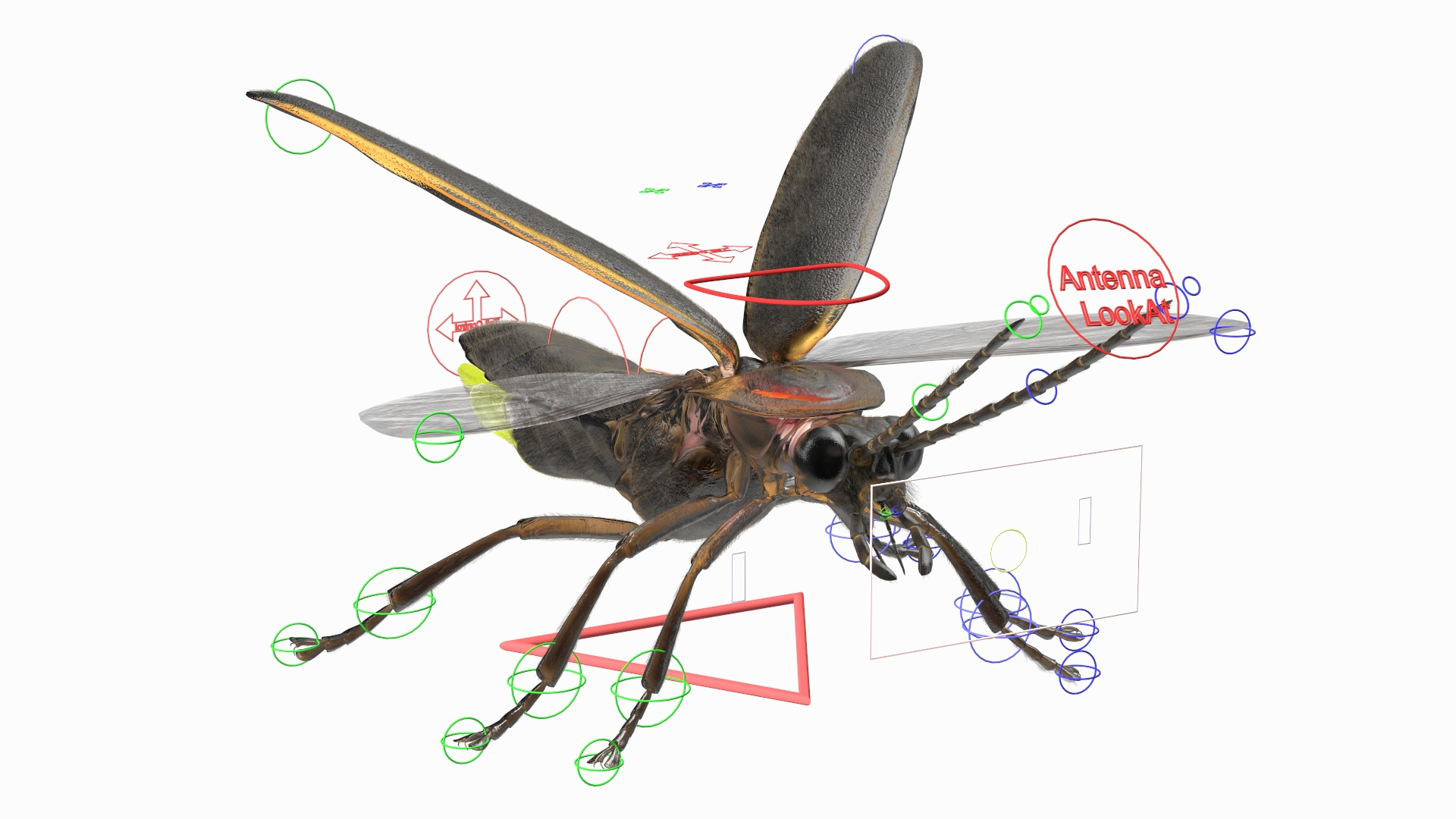 Glowing Photinus Pyralis Fur Rigged 3D - TurboSquid 2175157
