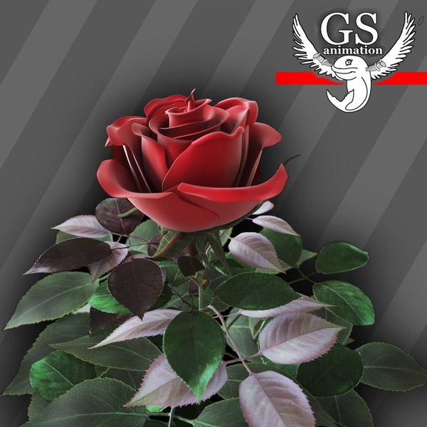 maya realistic rose flower