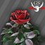 Maya Realistic Rose Flower