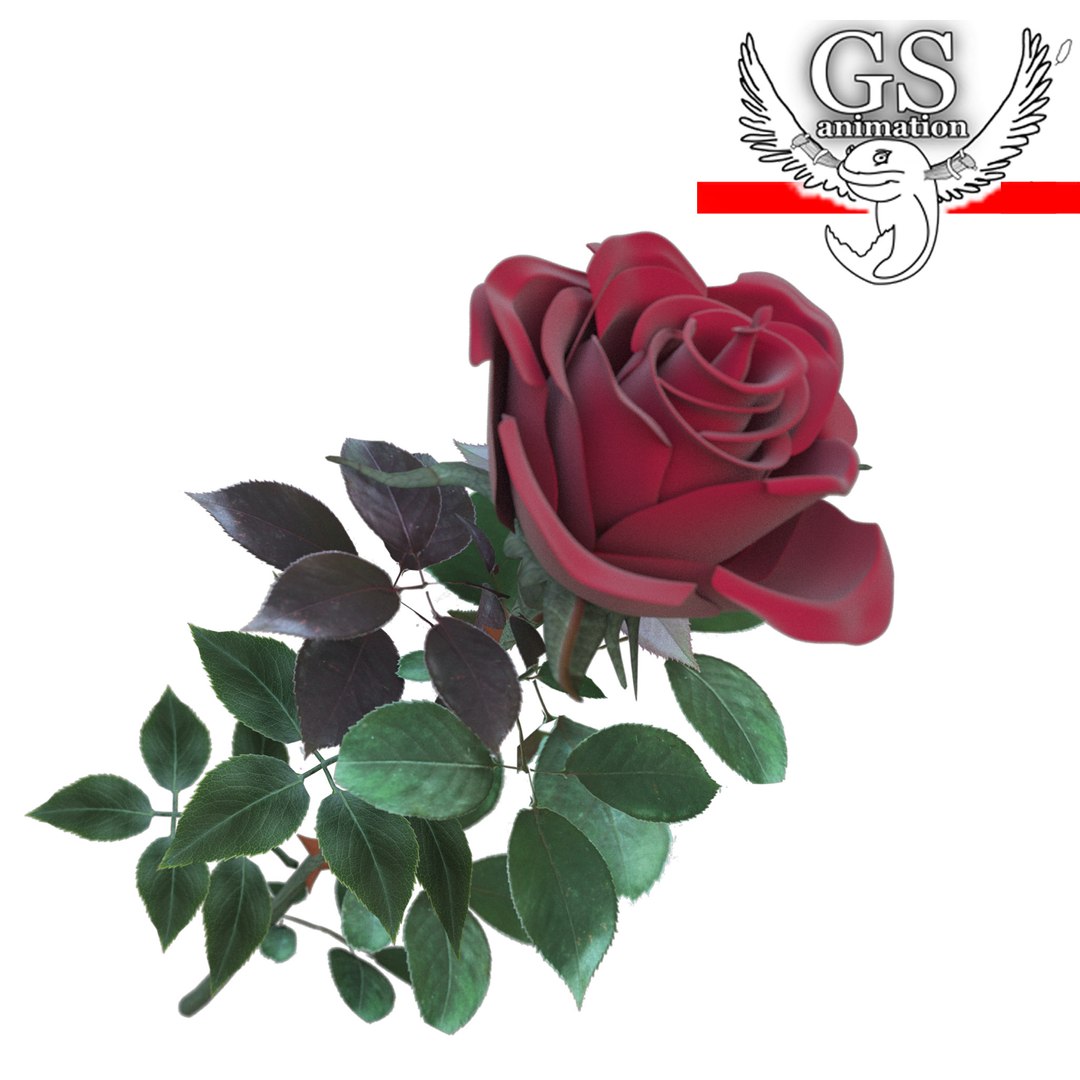 Maya Realistic Rose Flower