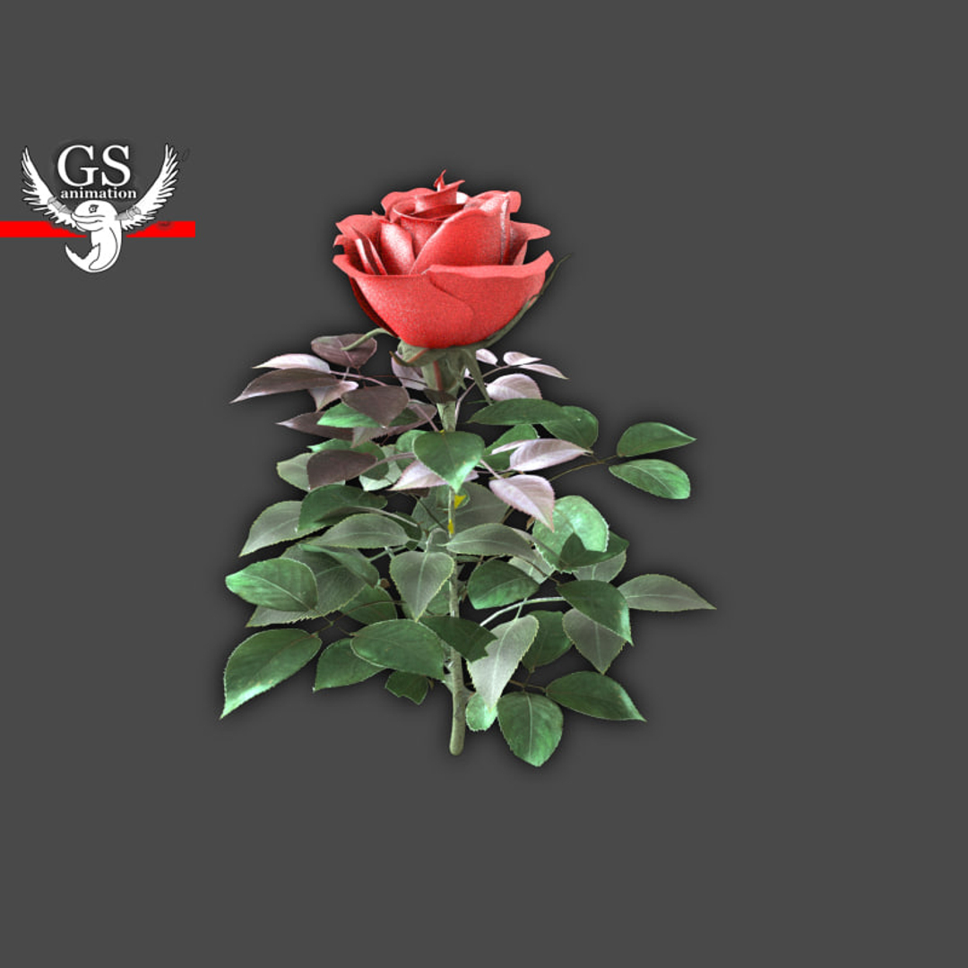 Maya Realistic Rose Flower