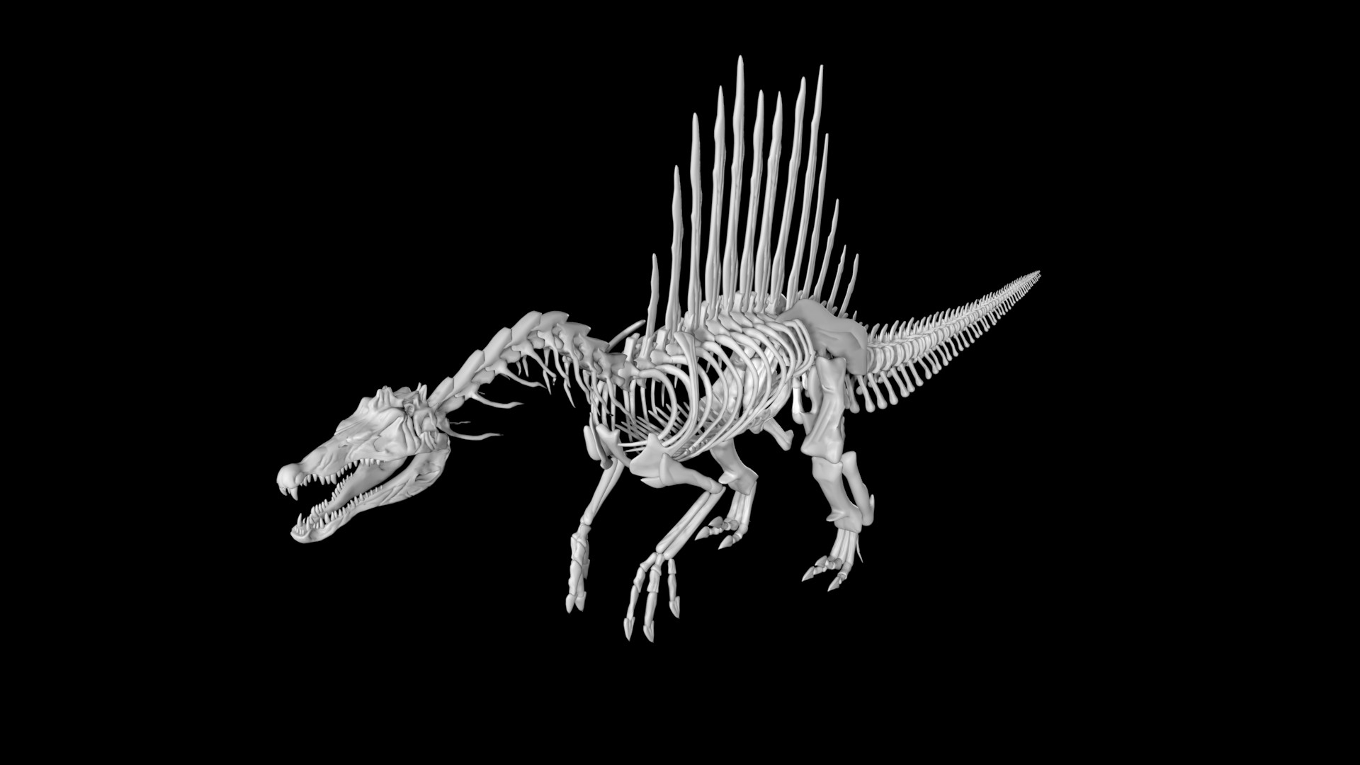 Spinosaurus skeleton 3D - TurboSquid 1886462