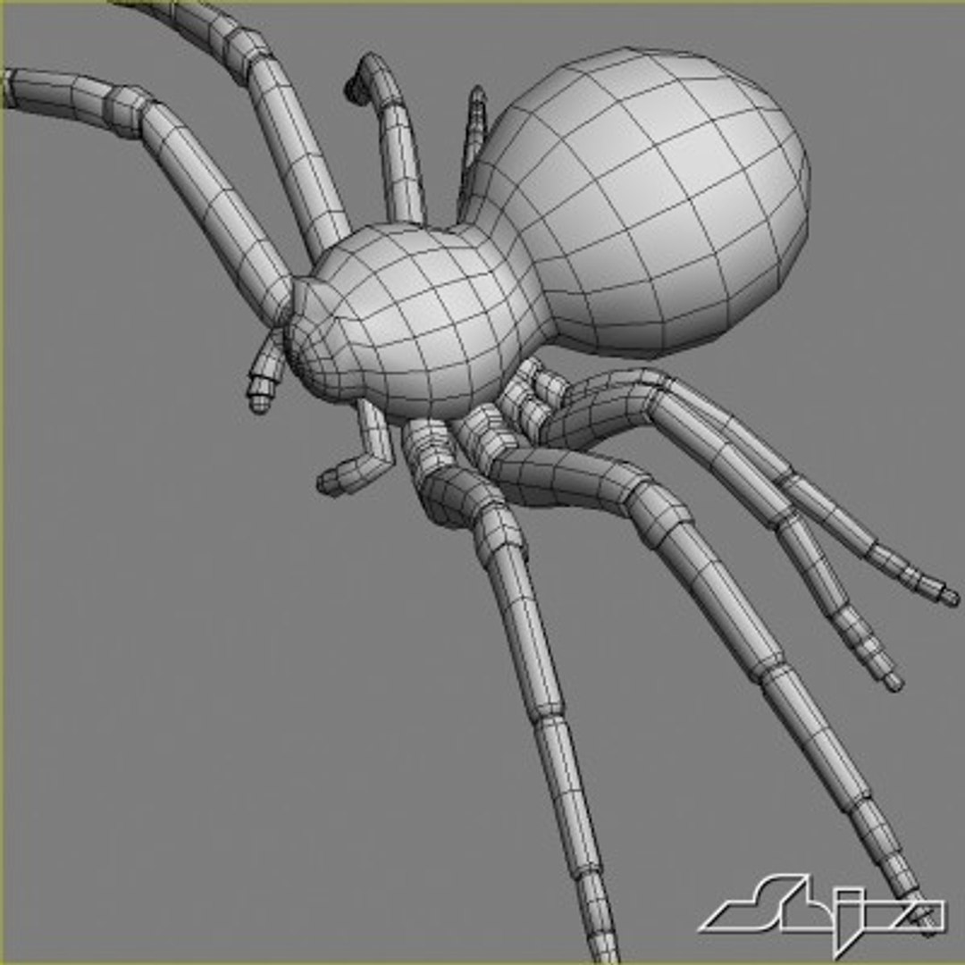 animation spider rigged max
