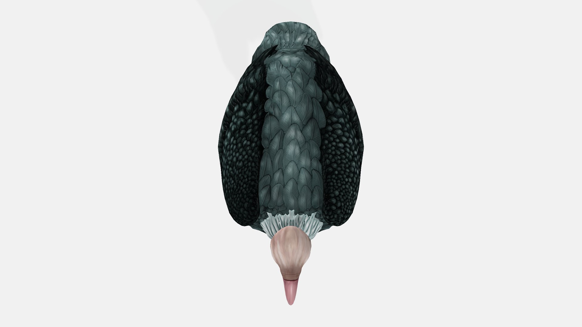 3D Vulture - TurboSquid 2363484