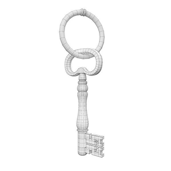 Old Skeleton key 3d model 3D model - TurboSquid 1982052