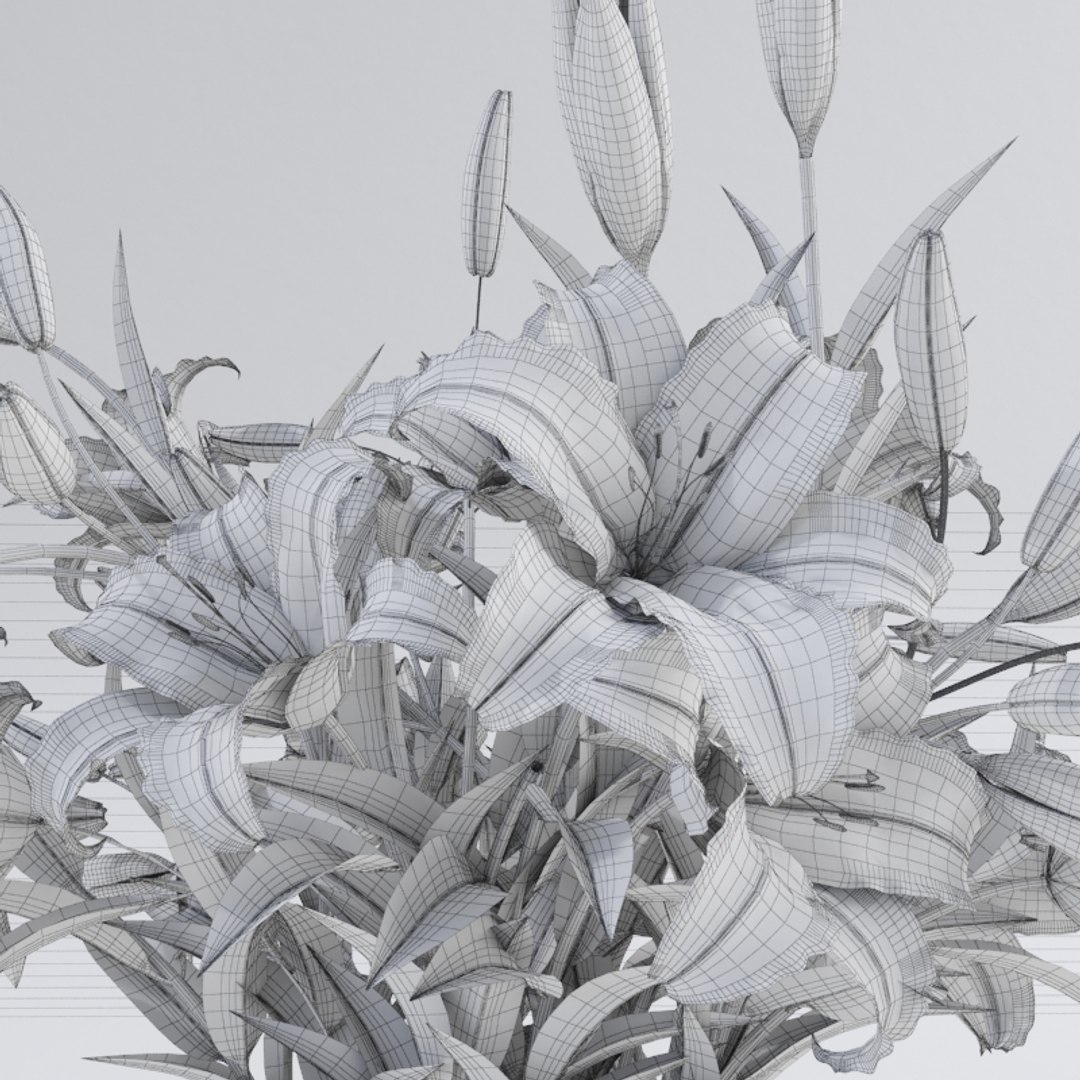 3d Realistic Lilys