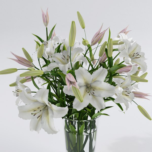 3d Realistic Lilys