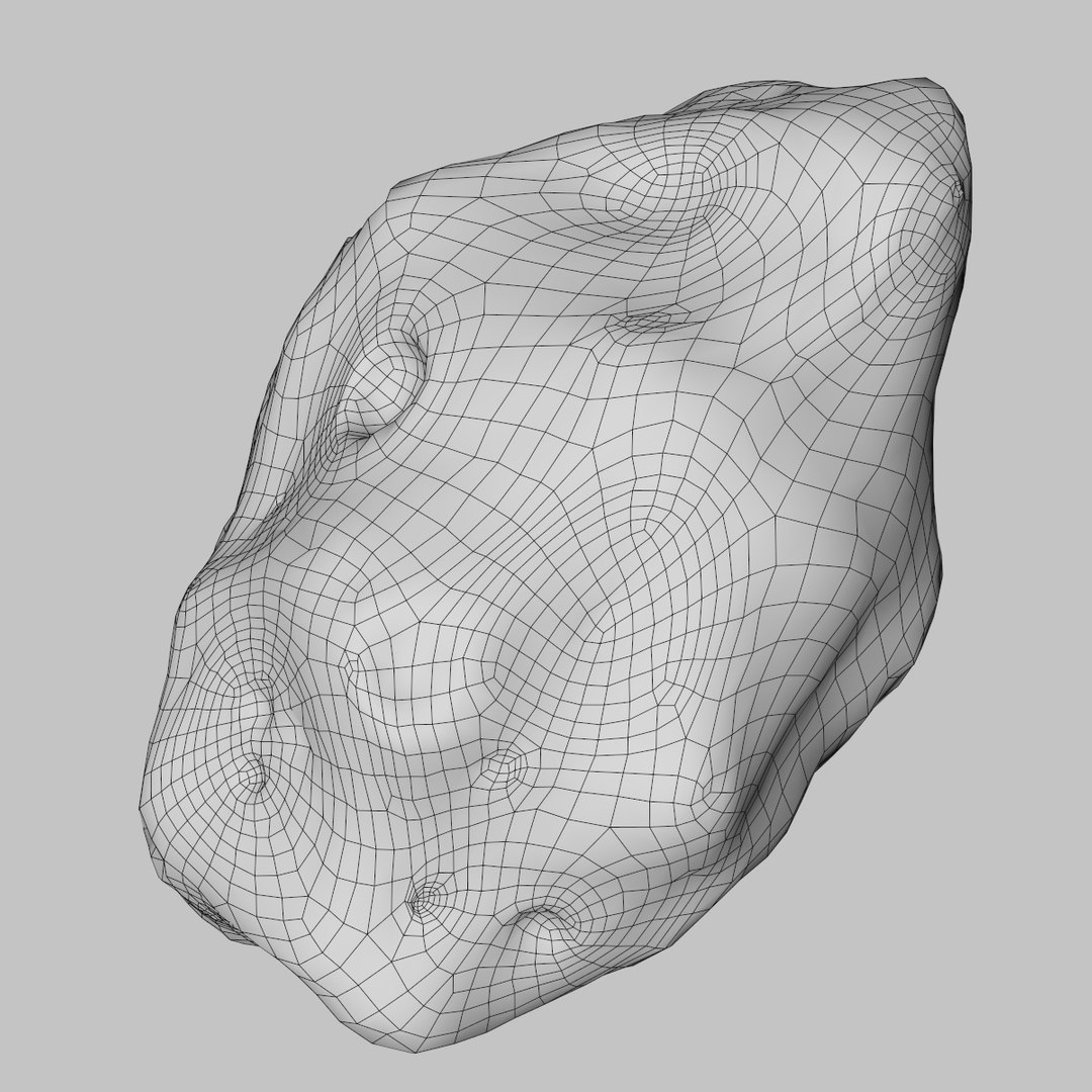 Asteroid Meteoroid Rock 3d Model
