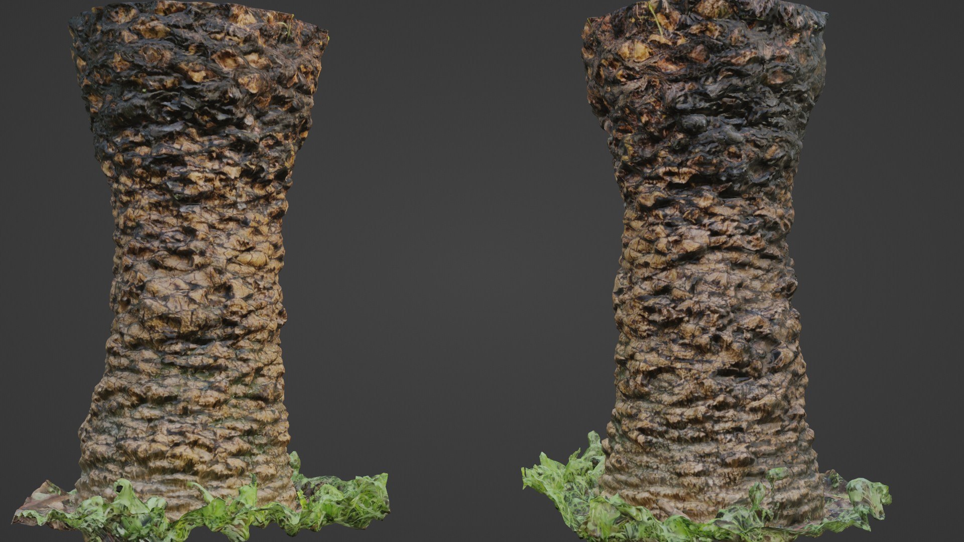 Plam Tree 3D Model - TurboSquid 2329681