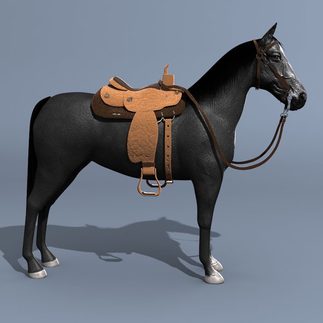 Horse Saddle 3d Model