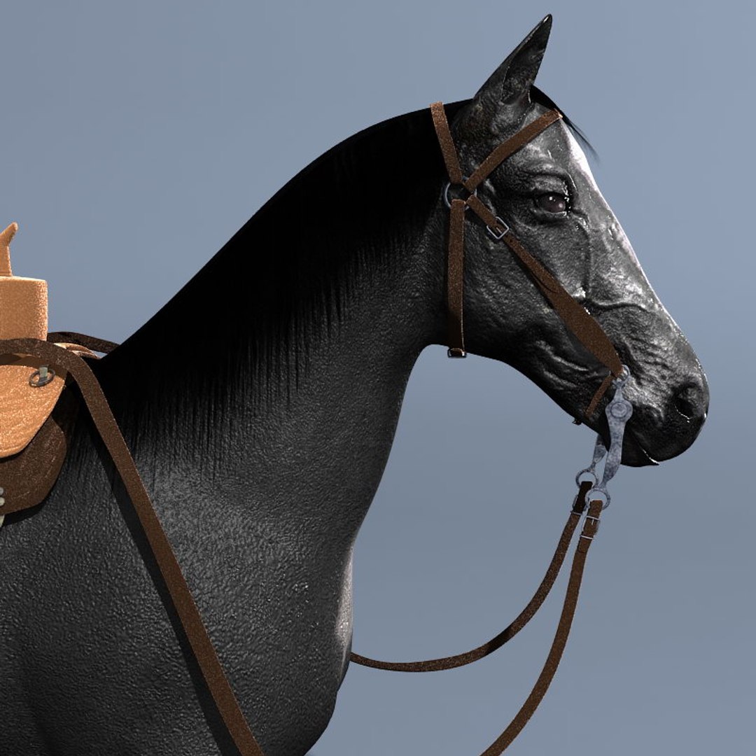 Horse Saddle 3d Model