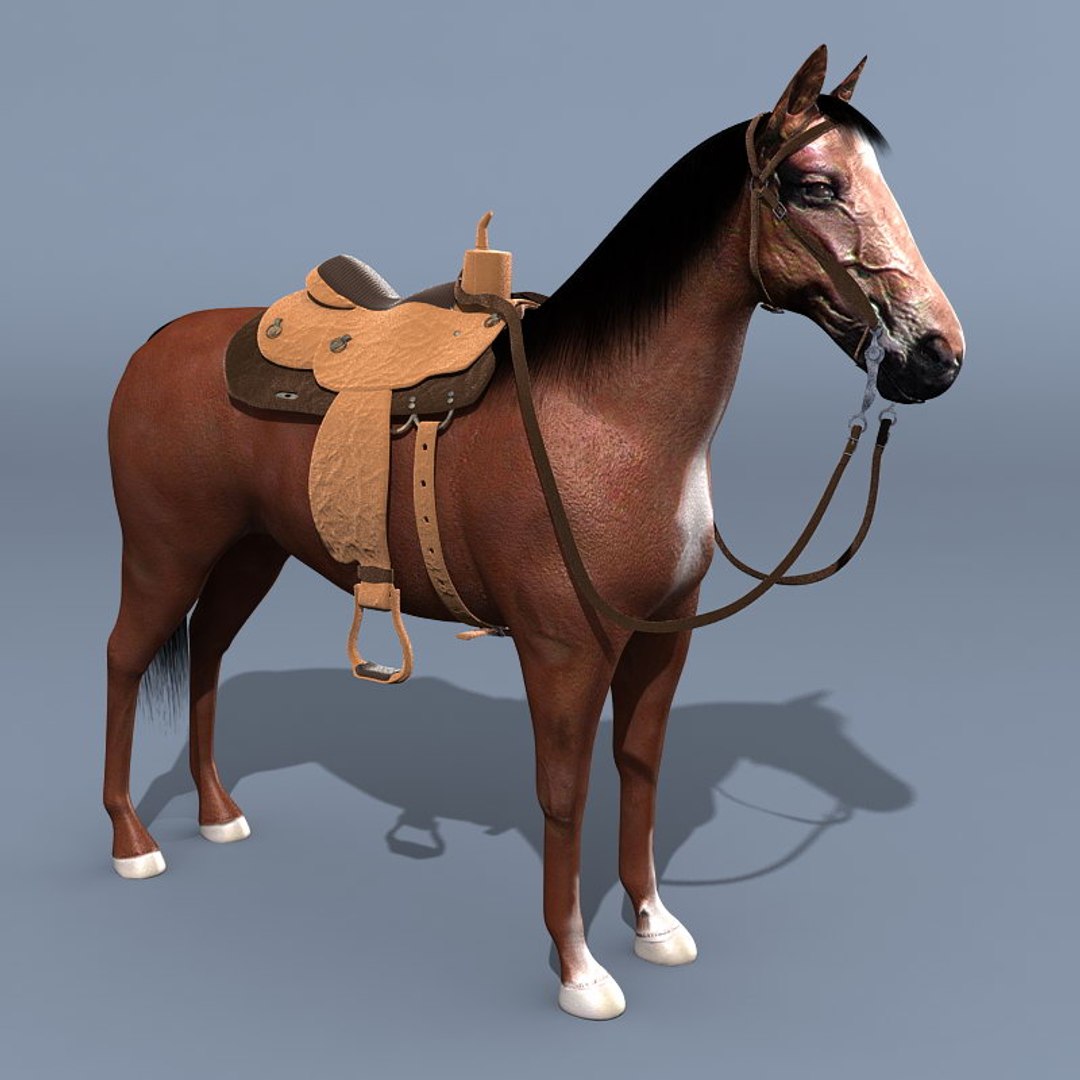 Horse Saddle 3d Model