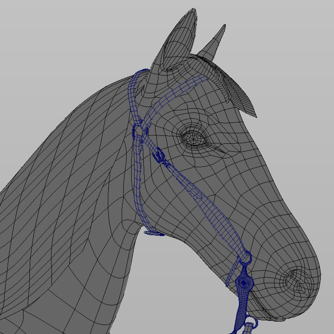 Horse Saddle 3d Model