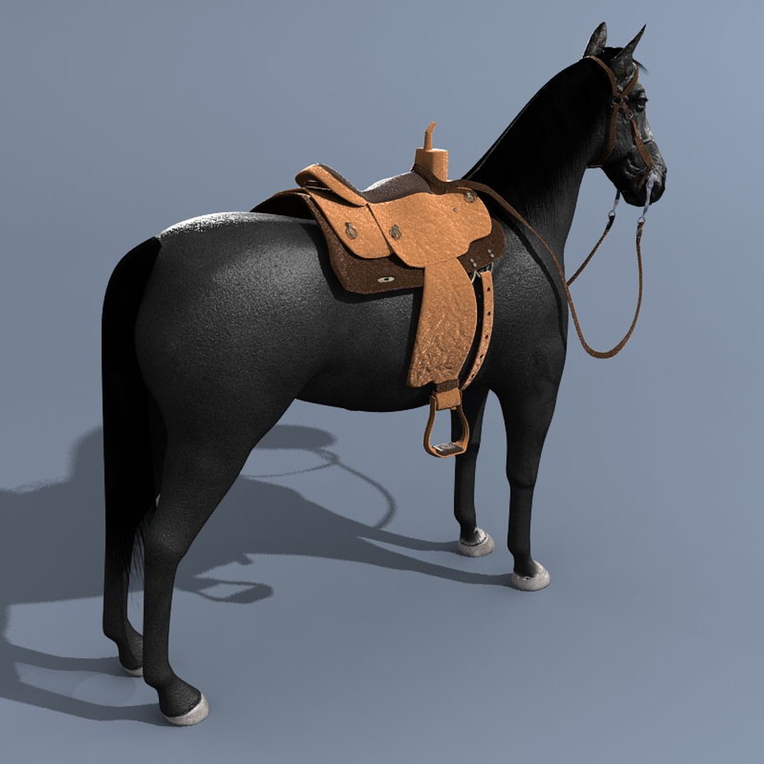 Horse Saddle 3d Model