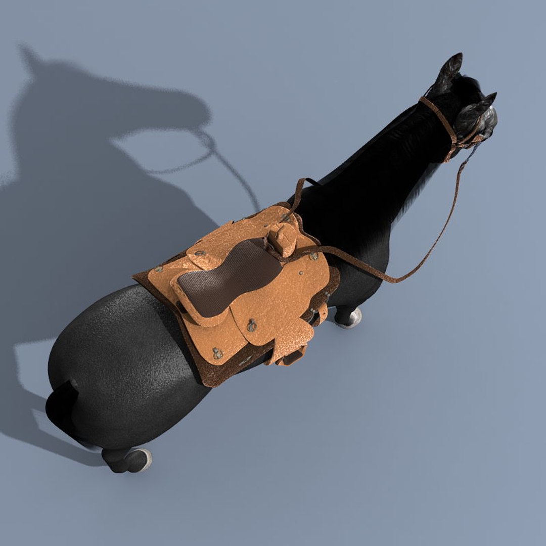 Horse Saddle 3d Model
