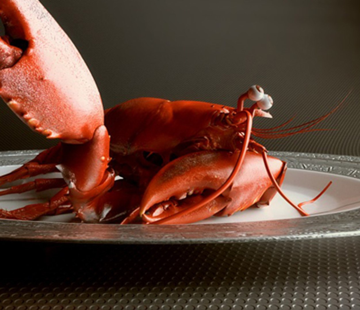 3d Model Of Lobster